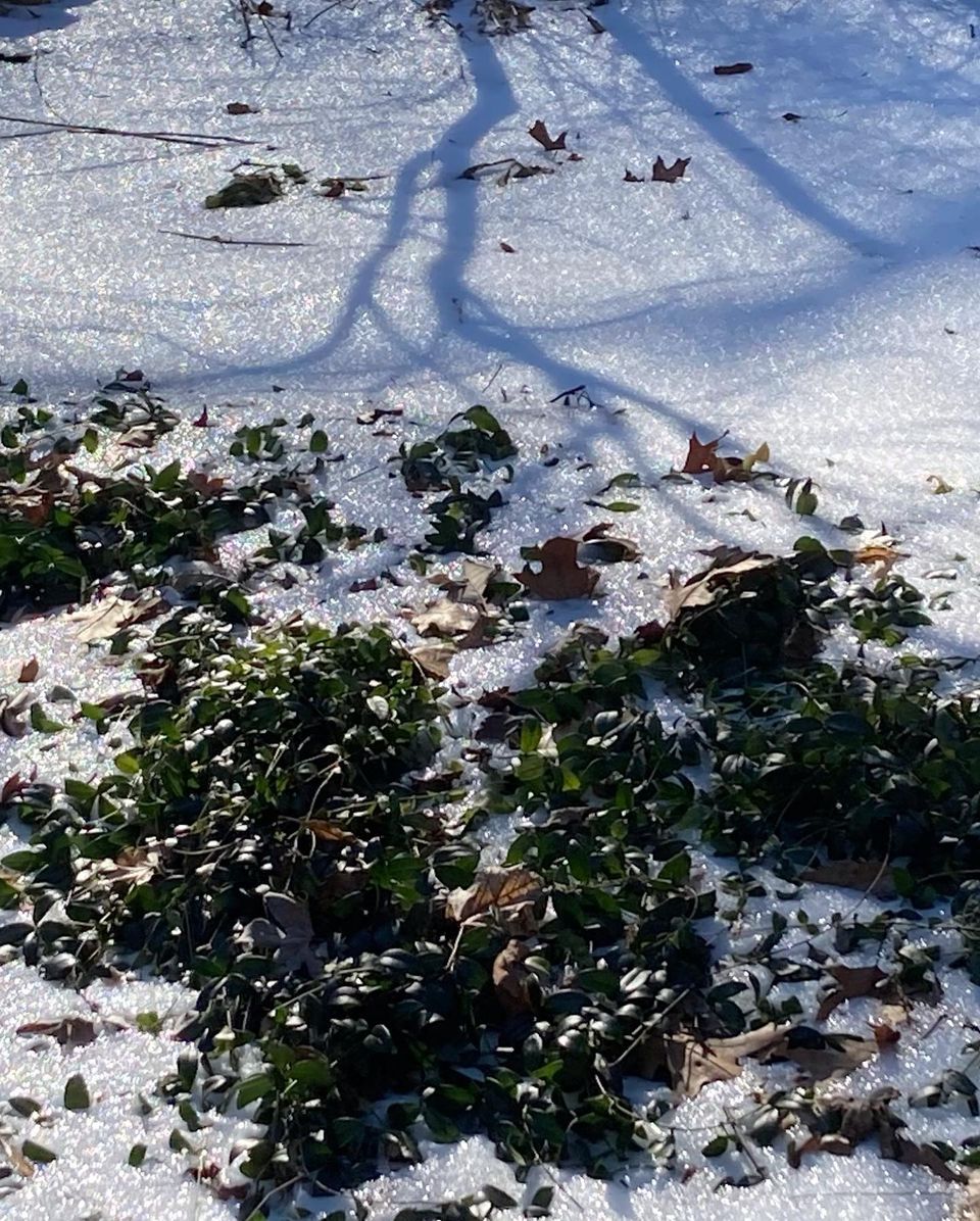 Slick snow - GroHappy